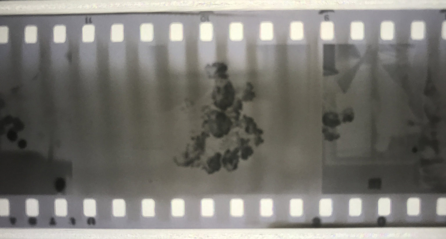 Top 26 Film Developing Problems: What to Look for and How to Prevent ...