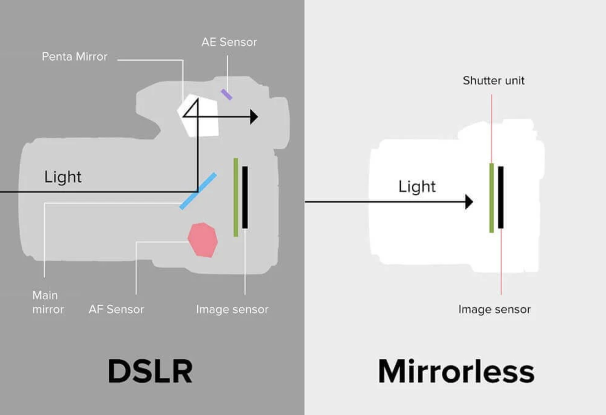 Rangefinder vs SLR Cameras: Main Differences Explained – The ...
